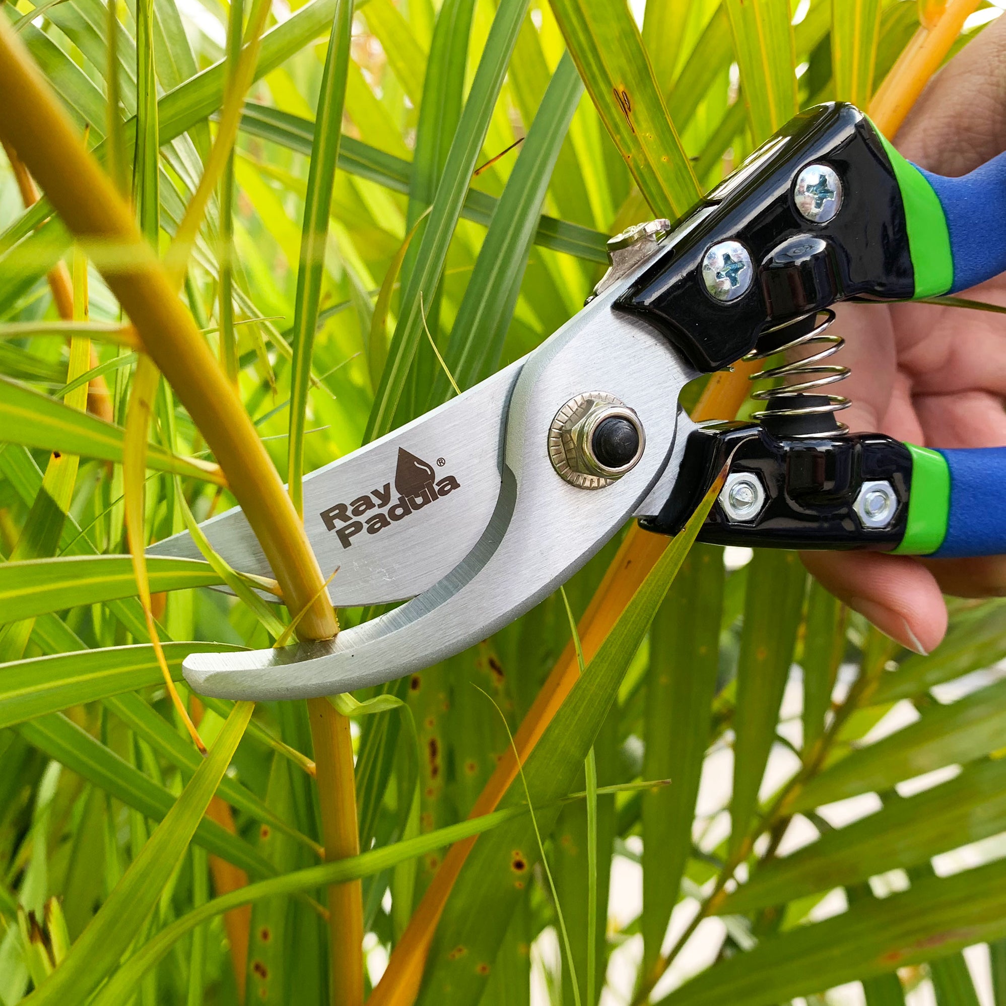 PRO Duty Lawn and Garden Bundles and Sets — Ray Padula Lawn and Garden